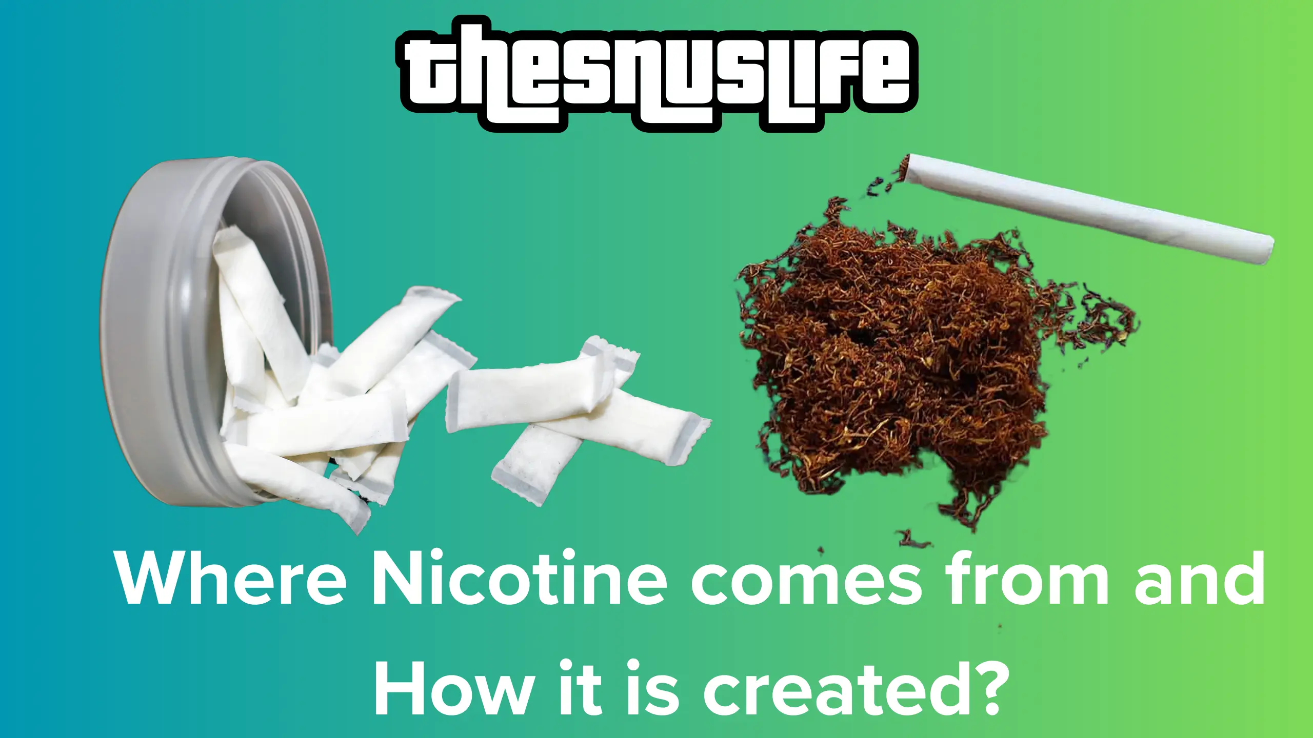 THE SNUS LIFE - FREE UK Delivery