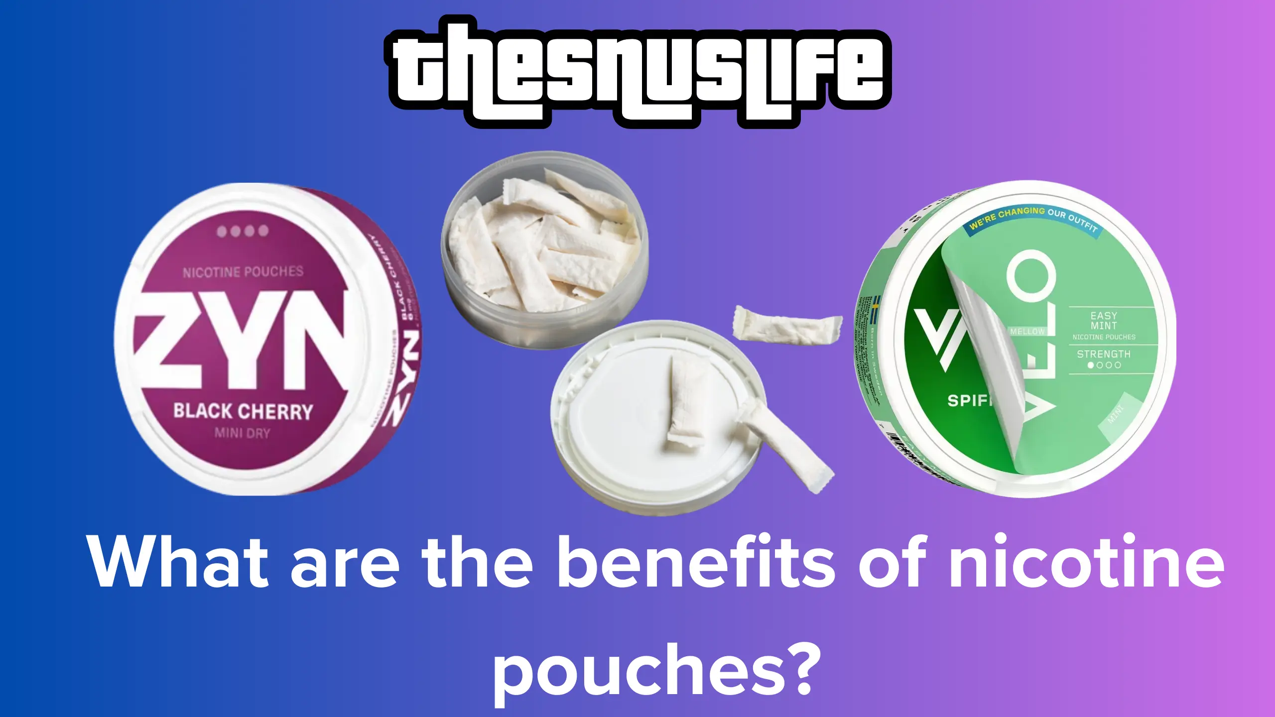 THE SNUS LIFE - FREE UK Delivery