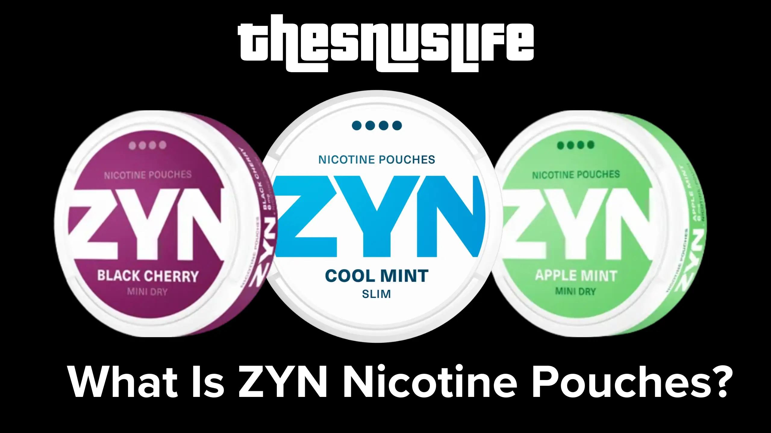 THE SNUS LIFE - FREE UK Delivery