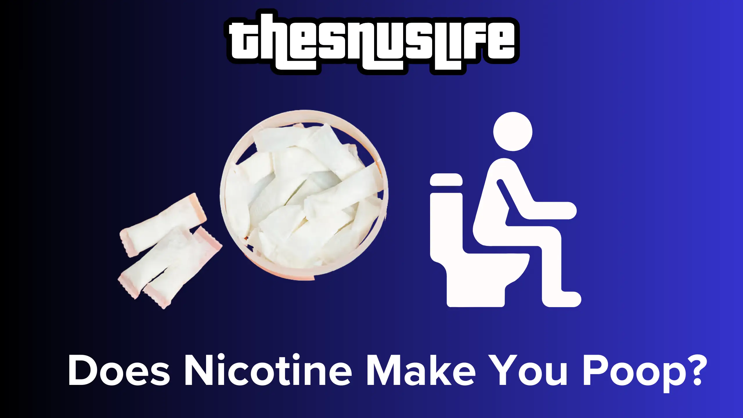 THE SNUS LIFE - FREE UK Delivery