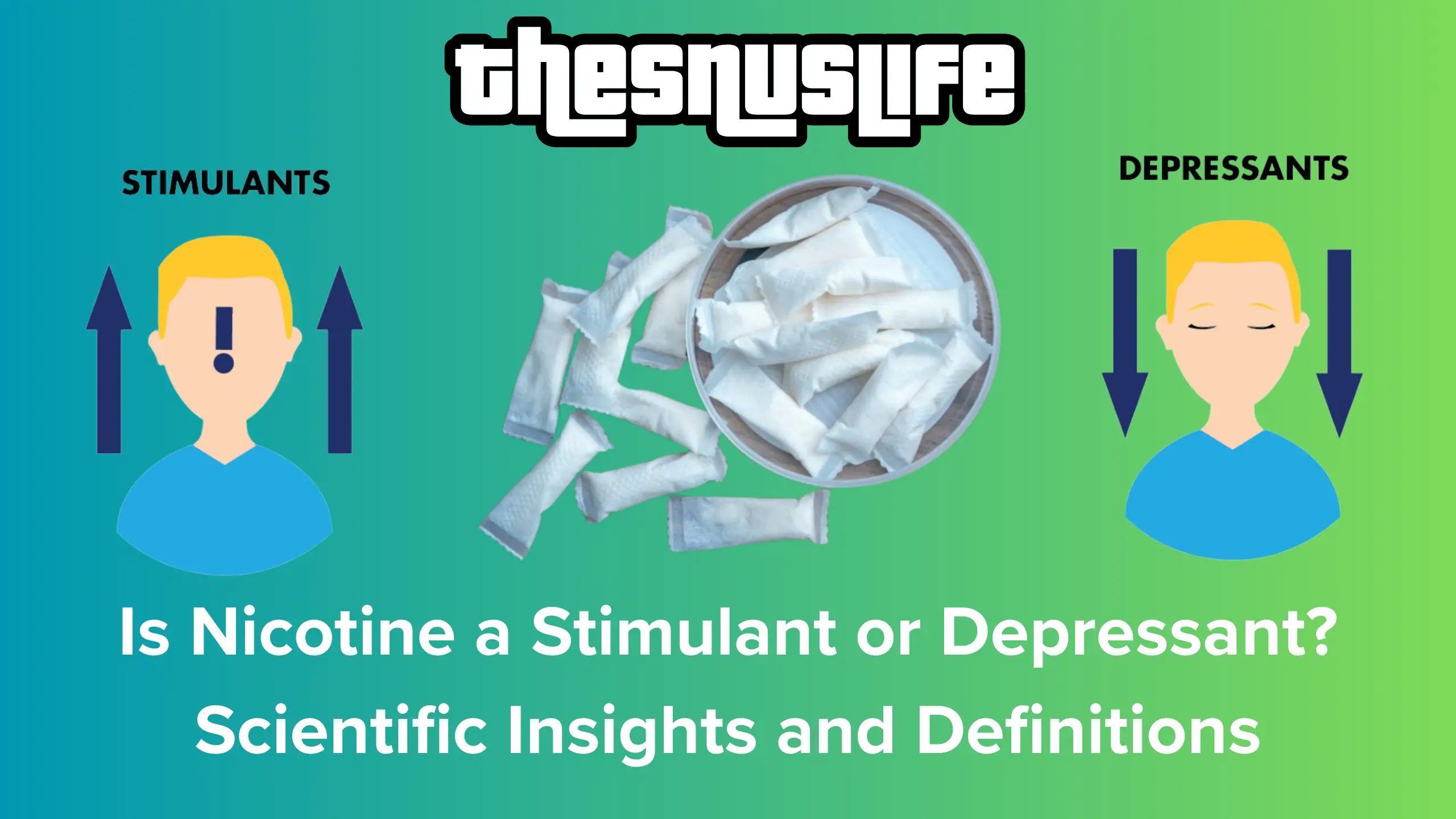 THE SNUS LIFE - FREE UK Delivery